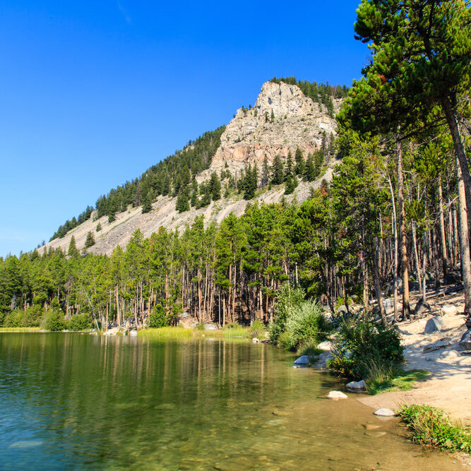 Bearcreek Montana – Visit Bearcreek