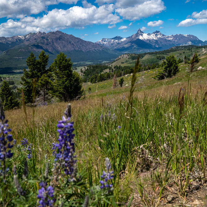 Bearcreek Montana – Visit Bearcreek